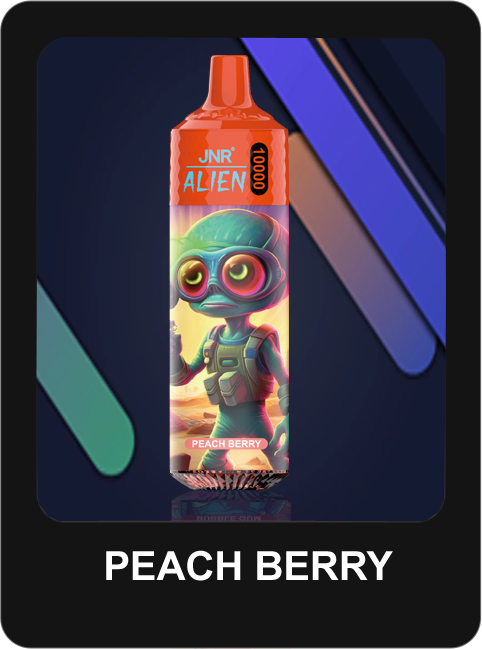 JNR Alien 10000 En Gros Vape Jetable - 99,99€ Prix